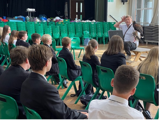Birds of Prey – Young Carers - Wrotham School